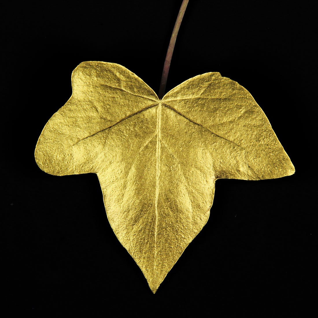 Gold Acrylic Gilding Enamel – Guild Lane